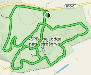 AllTrails | RSPB The Lodge Nature Reserve Circular: 43 Reviews, Map ...