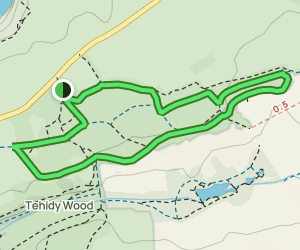 Tehidy Woods Circular: 18 Reviews, Map - Cornwall, England | AllTrails