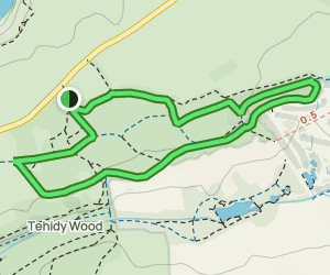 Tehidy Woods Circular: 18 Reviews, Map - Cornwall, England | AllTrails