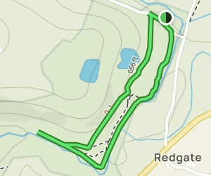 Golitha Falls: 72 Reviews, Map - Cornwall, England | AllTrails