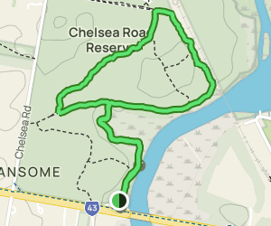 Jacksonia Track Loop via Tingalpa Creek Track: 17 Reviews, Map ...