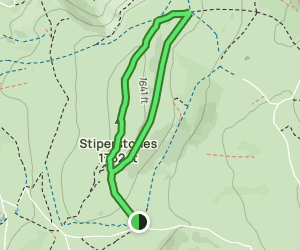 Stiperstones and Devil's Chair Circular: 69 Reviews, Map - Shropshire ...