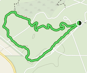 Horny Toad and Tasajilla Flats Loop - Texas | AllTrails