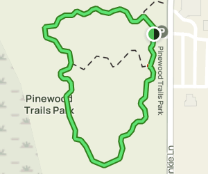 Pinewood Trails Loop: 31 Reviews, Map - Florida | AllTrails