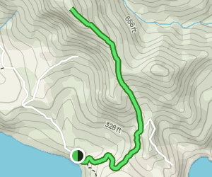 Ruahine Lookout Track: 0 Reviews, Map - Auckland, New Zealand | AllTrails