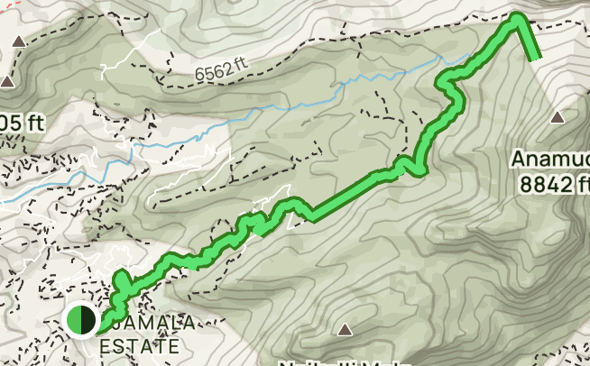 Anamudi Peak Map
