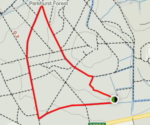 Parkhurst Forest Short Circular - Isle of Wight, England | AllTrails