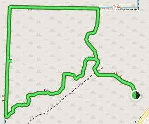 Apoxee and Owahee Trail Loop: 284 Reviews, Map - Florida | AllTrails