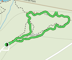 Stout Memorial Grove Trail: 1790 Reviews, Map - California | AllTrails