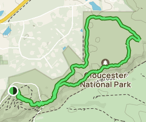 Gloucester Tree Circuit: 87 Reviews, Map - Western Australia, Australia ...