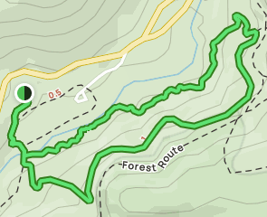 Bradley Grove Trail Loop: 264 Fotos - Kalifornien | AllTrails