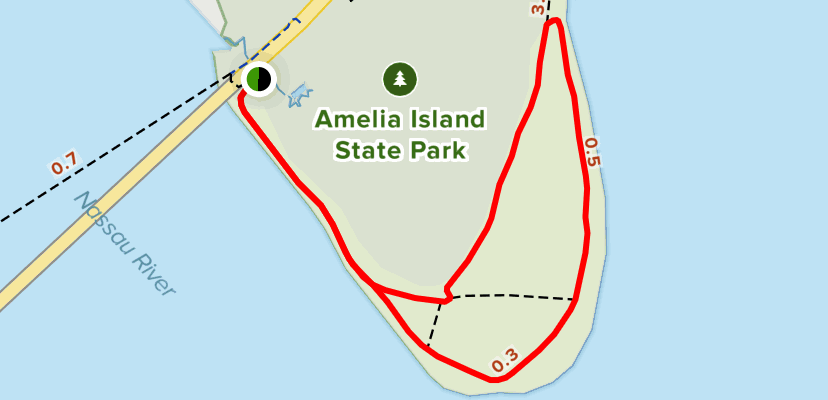 Are Dogs Allowed At Amelia Island State Park