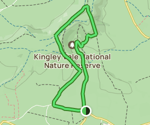 West Copse and Kingley Vale Circular, 297 Fotos - West Sussex, England ...