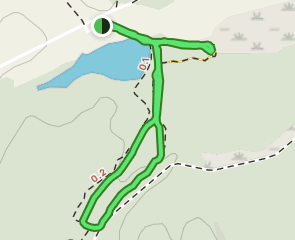 Tall Pines Trail, North Carolina - 21 Reviews, Map | AllTrails