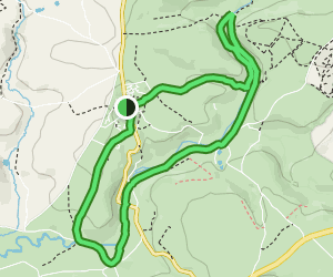 Loddiswell and Woodleigh Wood Circular: 8 Reviews, Map - Devon, England ...