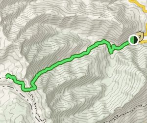 Dzukou Valley Trail - Nagaland, India | AllTrails