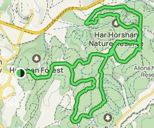 Horshan Forest, Hen Forest and Swida Ruins: 2 Reviews, Map - Haifa ...