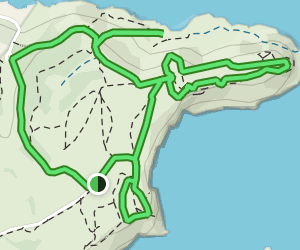 Berry Head National Nature Reserve, 146 Fotos - Devon, England | AllTrails