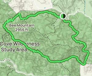 Lost Cove Creek Trail (262): 123 Reviews, Map - North Carolina | AllTrails