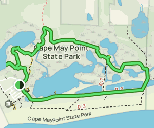 Cape May Point Trail: 690 Reviews, Map - New Jersey | AllTrails