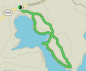 Ship Harbor Trail: 2235 Reviews, Map - Maine | AllTrails