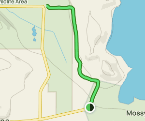 Mossyrock Nature Trail: 15 Reviews, Map - Washington | AllTrails