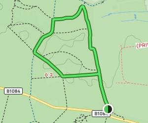 Rendlesham Forest Short Circular: 11 Reviews, Map - Suffolk, England ...