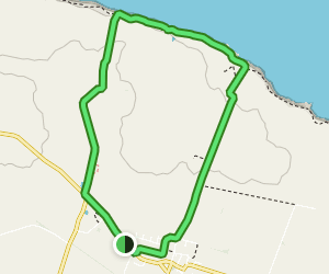 Bempton Cliffs Circular: 36 Reviews, Map - East Riding of Yorkshire ...