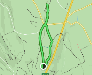 Ramshaw Rocks and Black Brook Nature Reserve: 33 Reviews, Map ...