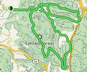 Monestary of Silence, Eshtaol Forest and Burma Road - Jerusalem, Israel ...