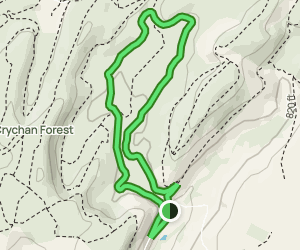 Crychan Forest Eastern Circular: 24 fotos - Gales | AllTrails