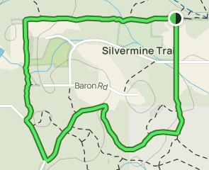 Silvermine Trail, British Columbia, Canada - 10 Reviews, Map | AllTrails
