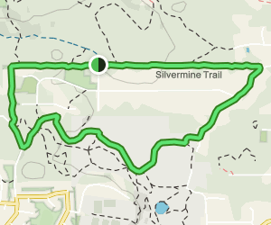 Silvermine Trail Full Loop: 28 Reviews, Map - British Columbia, Canada ...