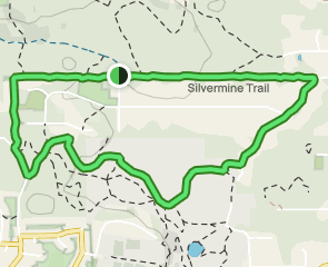 Silvermine Trail Full Loop, British Columbia, Canada - 37 Reviews, Map ...
