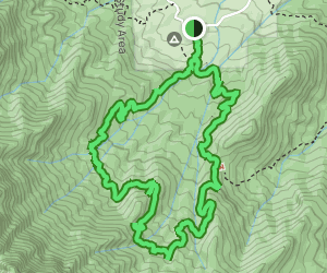 Pine Tree Trail: 1765 Reviews, Map - New Mexico | AllTrails