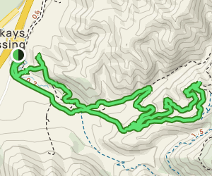 Whareroa Farm Loop: 25 Reviews, Map - Wellington, New Zealand | AllTrails