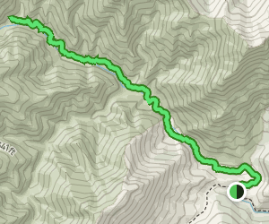 Pearse Valley Resurgence: 4 Reviews, Map - Nelson-Tasman, New Zealand ...