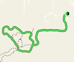 McIntosh Preserve Live Oak Loop: 70 Reviews, Map - Florida | AllTrails