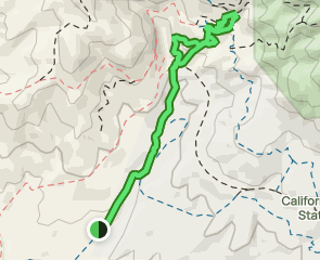 The Eucs - Flying Ewok, California - 69 Reviews, Map | AllTrails