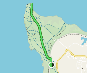 Point Pinole Trail: 141 Reviews, Map - California | AllTrails