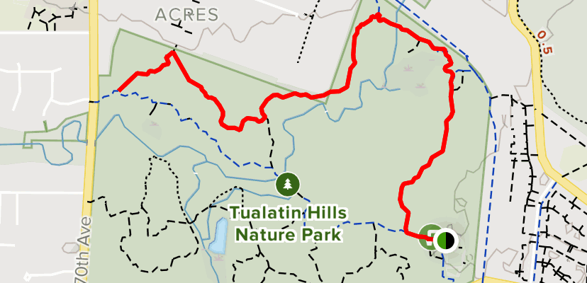 Are Dogs Allowed At Thprd Facilities