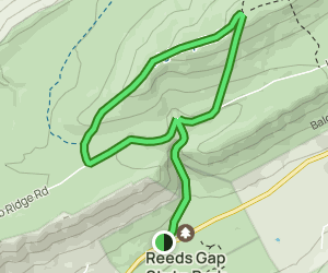 Reeds Gap Trail, High Top Trail, and Knob Ridge Road Loop: 13 Reviews ...