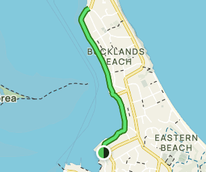 Bucklands Beach Path, 17 Fotos - Auckland, New Zealand | AllTrails