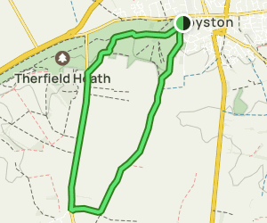 Therfield Heath and Countryside Circular: 13 Reviews, Map - Hertfordshire, England | AllTrails