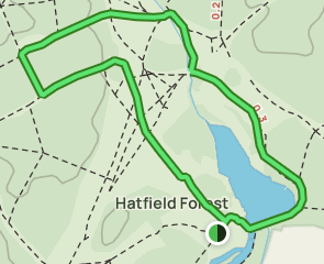 Forest Walk at Hatfield Forest: 6 Reviews, Map - Hertfordshire, England ...