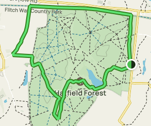 Hatfield Forest, Bedlars Green and the Flitch Way Circular: 8 Reviews ...