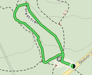 Prince Gallitzin Forest Trail Loop: 6 Reviews, Map - Pennsylvania ...