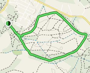 Ludshott Common and Gentles Copse Circular via Lodge Way: 67 Fotos ...