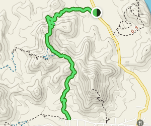 Cabo Pulmo: 18 Reviews, Map - Baja California Sur, Mexico | AllTrails