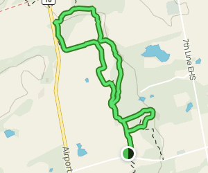 Hockley Loop: 325 Reviews, Map - Ontario, Canada | AllTrails